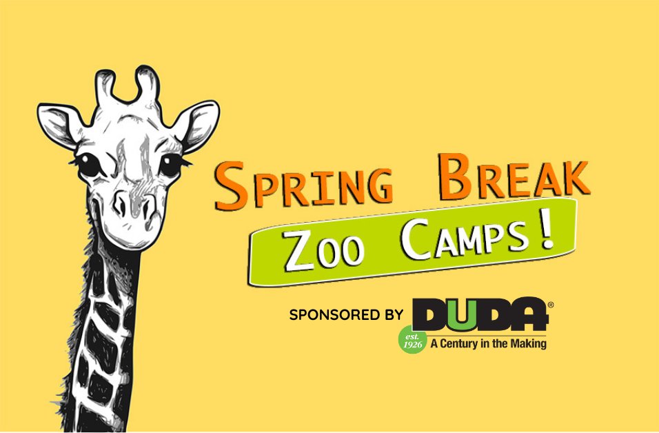 Central Florida Zoo & Botanical Gardens Spring Break Camps! - Central ...