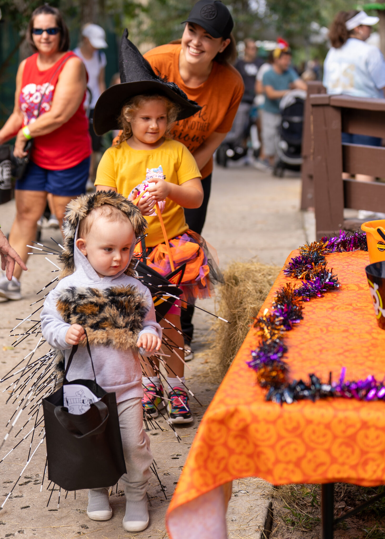 Central Florida Zoo & Botanical Gardens Zoo Boo Bash - October 11th ...
