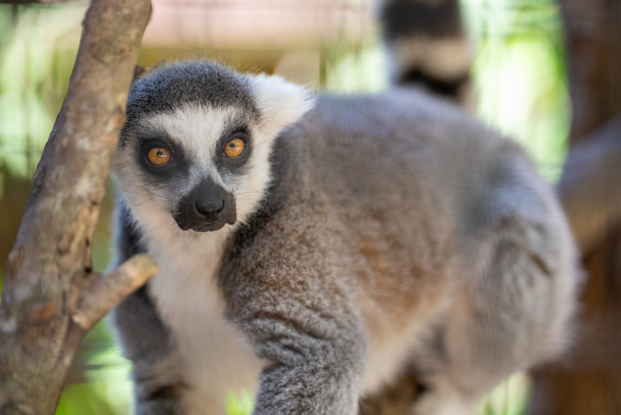 Central Florida Zoo & Botanical Gardens Scouting America Merit Badge ...