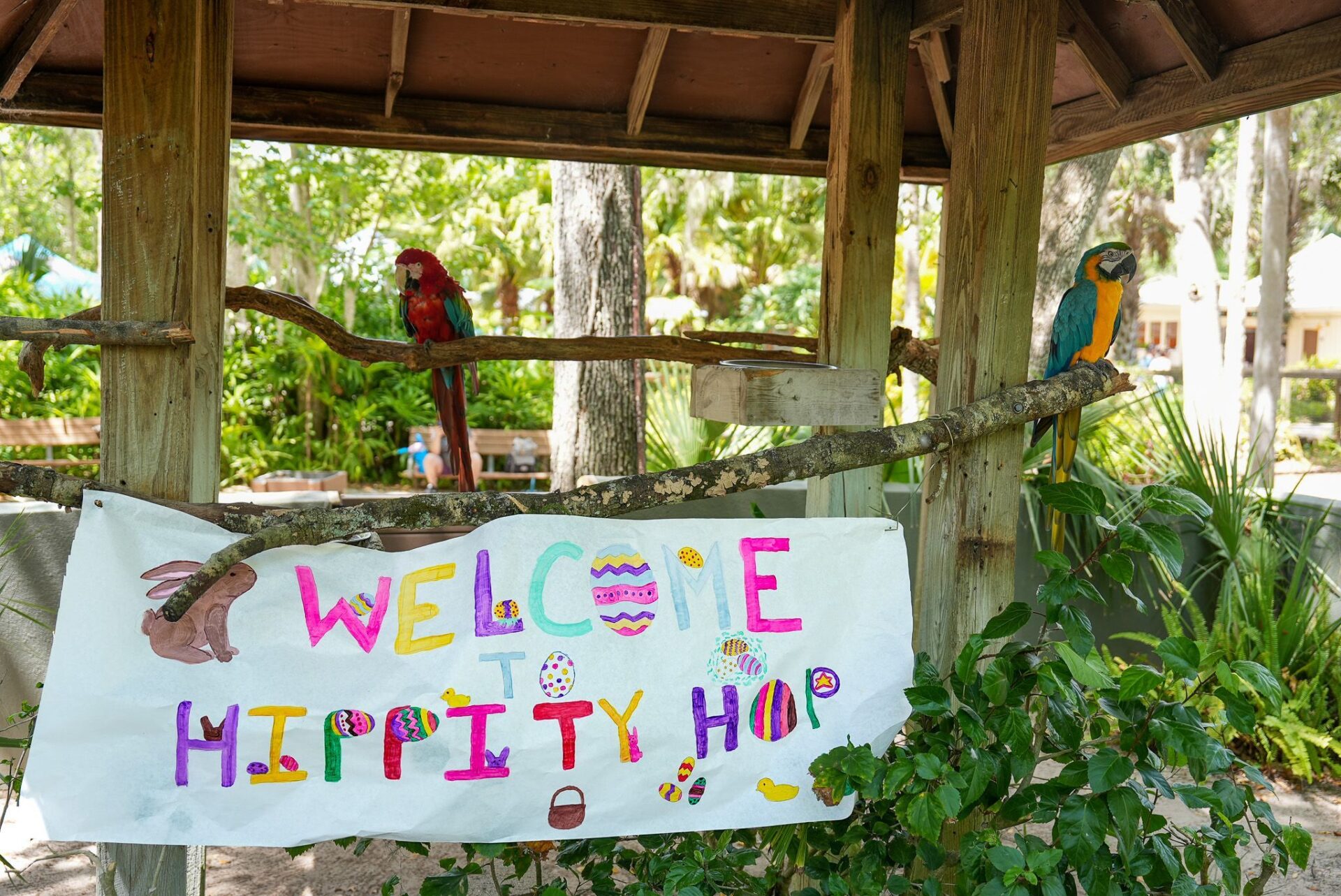 Central Florida Zoo & Botanical Gardens Celebrate spring at the Central ...