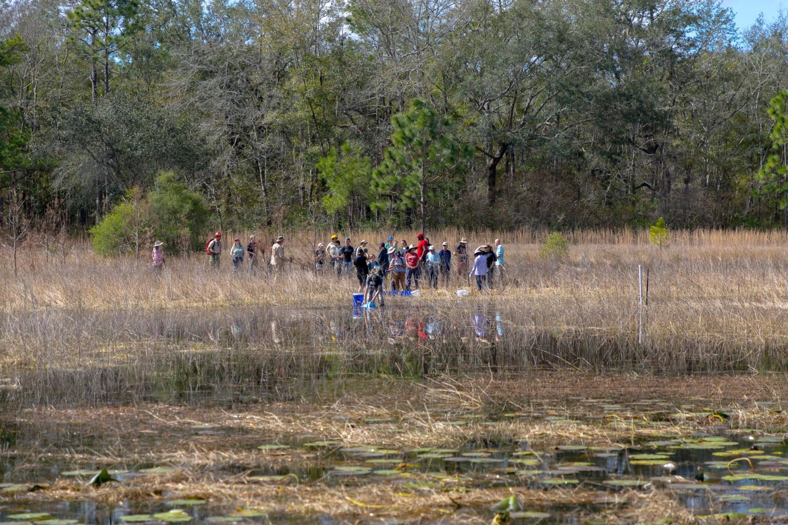 Central Florida Zoo & Botanical Gardens Central Florida Zoo's OCIC, partners release over 600 ...