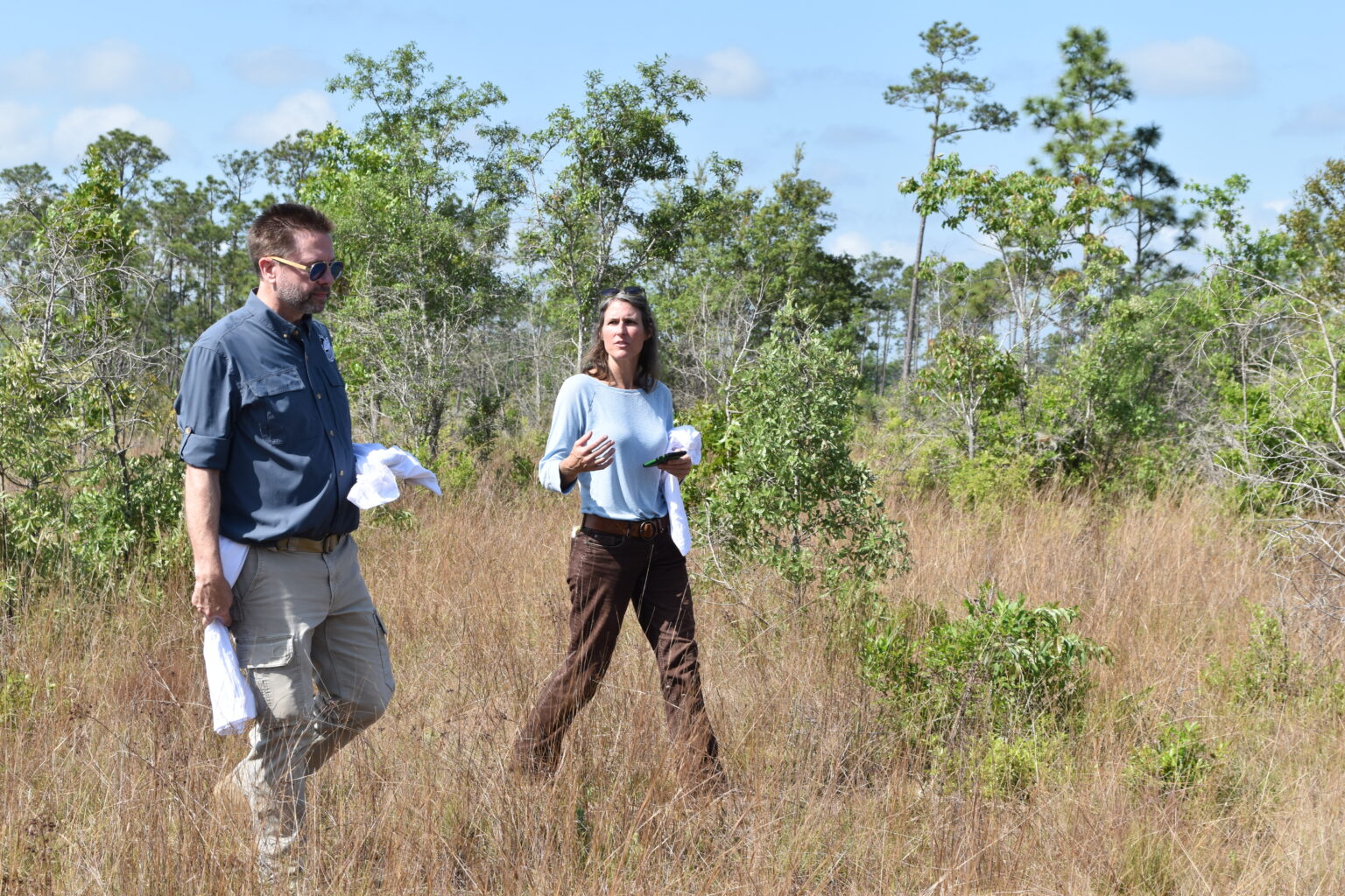 Central Florida Zoo & Botanical Gardens 42 Indigo Snakes released in the ongoing effort to ...