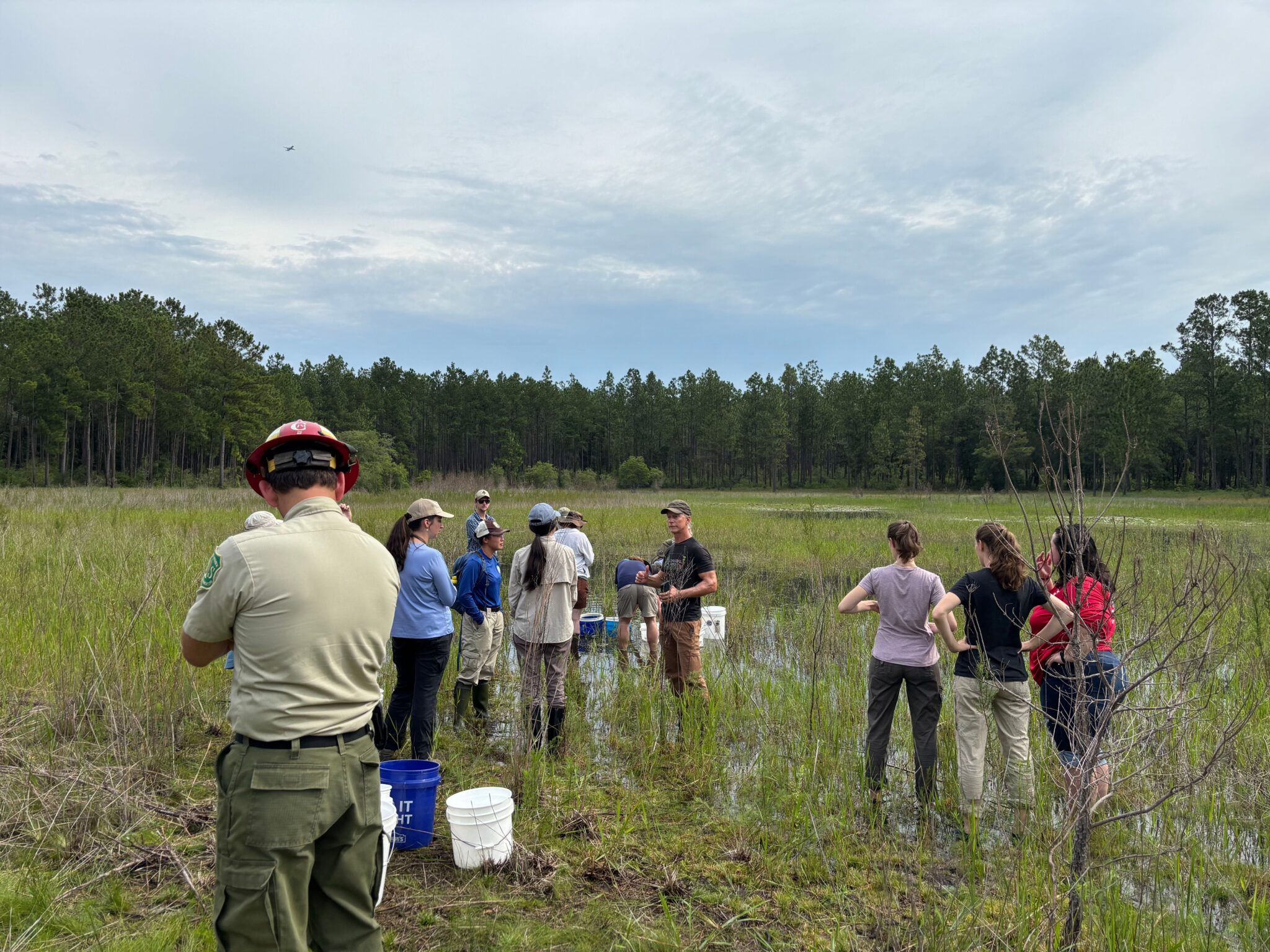 Central Florida Zoo & Botanical Gardens 170 striped newts released in ...