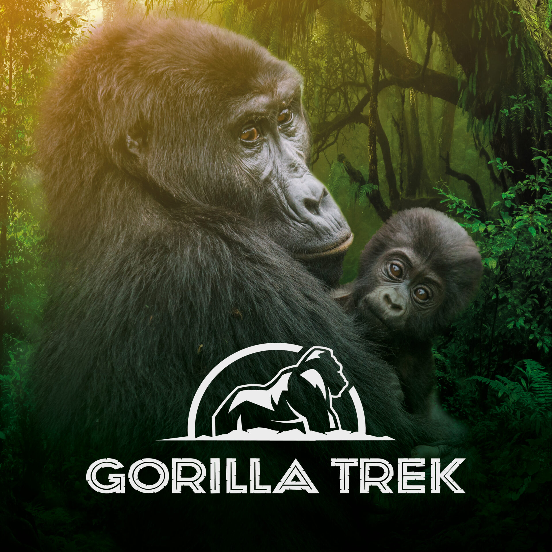 Central Florida Zoo & Botanical Gardens Seminole Aerial Adventures ...