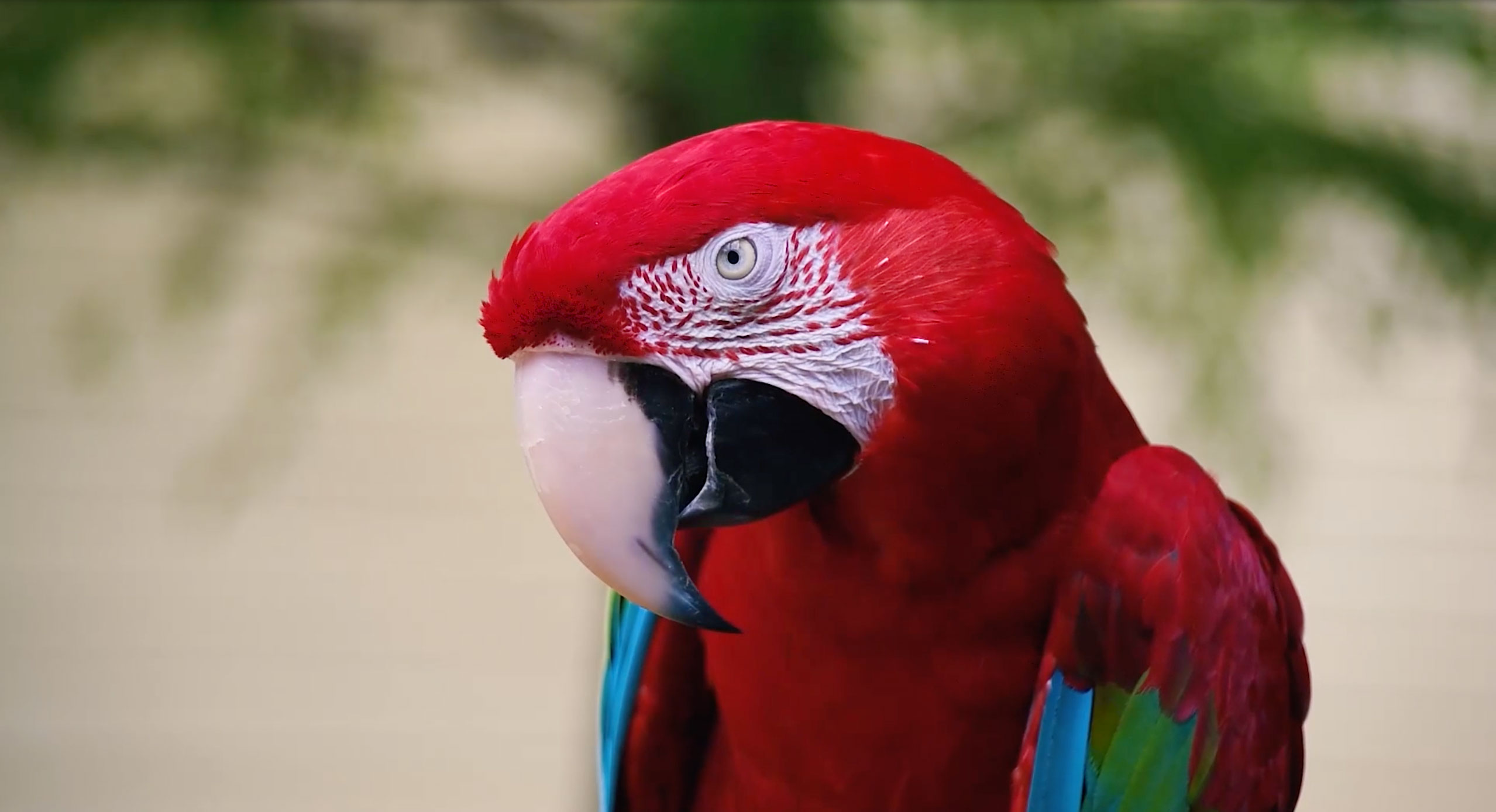 Central Florida Zoo & Botanical Gardens Central Florida Zoo & Botanical ...